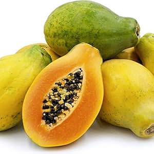Amazon.com : Sunrise Solo Hawaiian Papaya Seeds (Carica papaya) 20+ Non ...