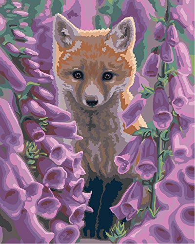 Fox Paint By Number Kits • Paint By Number For Adults