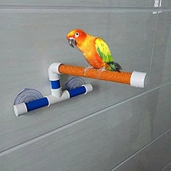 Amazon.com : Polly's Sandy Window and Shower Bird Perch, Large : Shower ...