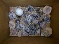 Amazon.com: Large Size Break Open Geodes Kit 12 Whole Geodes By Ancient ...