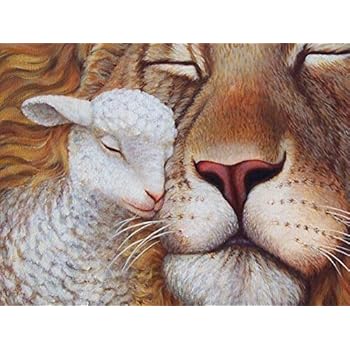 Amazon.com: The Lion And The Lamb - Art Print Black Wood Framed Wall ...