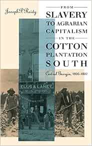 From Slavery to Agrarian Capitalism in the Cotton Plantation South ...
