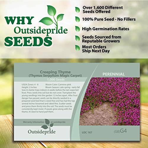 Outsidepride Perennial Thymus Serpyllum Magic Carpet Dwarf Creeping ...