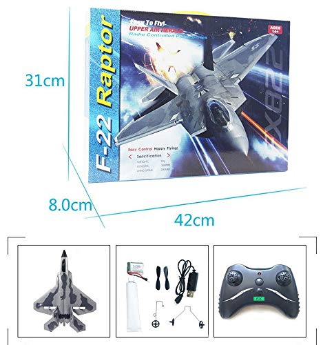 Mini RC Airplane RTF F-22 Raptor Radio Remote Control F22 Jet Fighter ...
