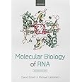 Amazon.com: Molecular Biology of RNA: 9780199671397: Elliott, David ...
