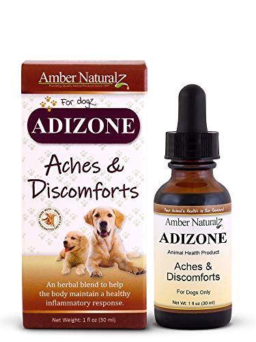 Amber Technology All-Natural Anti-Inflammatory Pain Reliever for Dogs ...