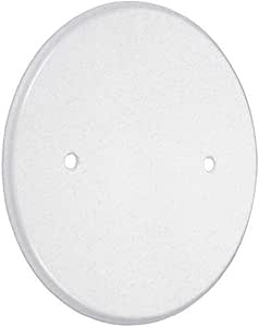 TayMac LPB3325 Flat Blank 5-Inch Round Standard Metallic Wallplate ...