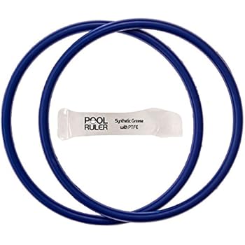 Amazon.com: Pool Ruler R172009 Chlorine Resistant VITON O-Ring 2 Pack ...