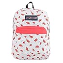 Amazon.com | JanSport Superbreak Backpack - Watermelon Rain - Classic ...