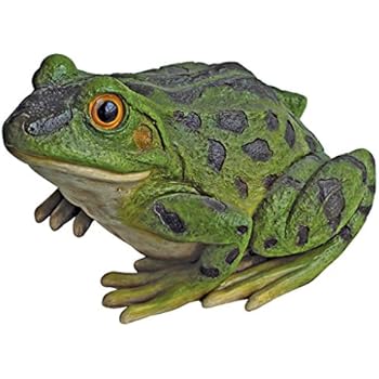 Amazon.com : Bits and Pieces - Frog Motion Sensor Statue - Weather ...