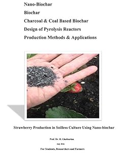 Nano-Biochar Biochar Charcoal & Coal Based Biochar Design of Pyrolysis ...