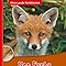 Der Fuchs (Meine große Tierbibliothek): Amazon.de: Christian Havard ...