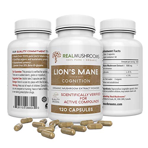 These Lions Main Capsules Are Right for The Project – Vitamin Hour