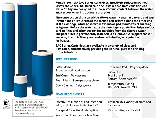 Pentair Pentek GAC-20BB Big Blue Carbon Water Filter, 20-Inch, Whole ...