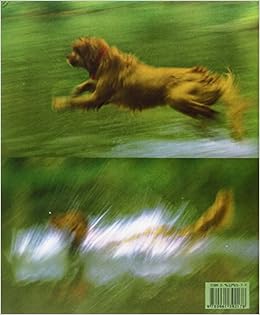 Beautiful Evidence: Edward R. Tufte: 9781930824164: Amazon.com: Books