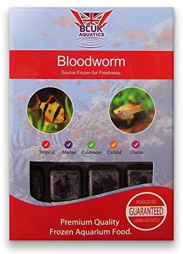 BUY 2 AND GET 1 FREE *** FROZEN BLOODWORMS - Fish food in 100g blister ...