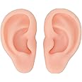 Amazon.com: Human Ear Model, 1 Pair Soft Silicone Simulation Ear Model ...