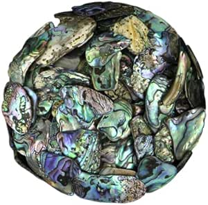 Amazon.com: PAUA (Abalone) Shell Pieces Satin for Beach Theme Party ...