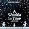 Amazon.com: A Wrinkle in Time: The Graphic Novel: 9780374386153: L ...