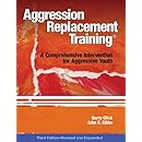 Amazon.com: Aggression Replacement Training: A Comprehensive ...