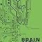 Amazon.com: Brain Jack (9780375843679): Brian Falkner: Books