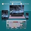 COSTOM XVX 75% Keyboard with Color OLED Display&Knob, M87 Pro Wireless ...