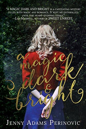 A Magic Dark and Bright (The Asylum Saga Book 1) | Pricepulse