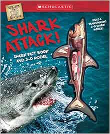 Shark Attack!: Scholastic: 9781338323016: Amazon.com: Books