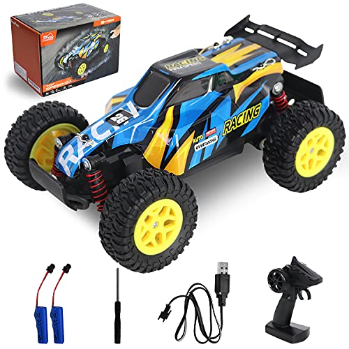 Remote Control Car for Boys , 1/20 Scale 25Km/h High Speed Remote ...