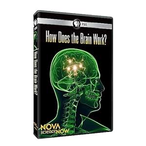 Amazon.com: Nova Science Now: How Does the Brain Work: ., n/a: Movies & TV