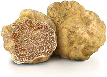 Fresh white truffle bianchetto (Tuber borchii vitt.) 100 gr. / 3.52 oz ...