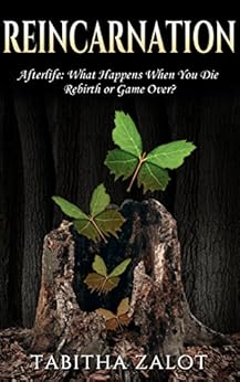 Reincarnation: Afterlife: Life After Death - What Happens When You Die ...