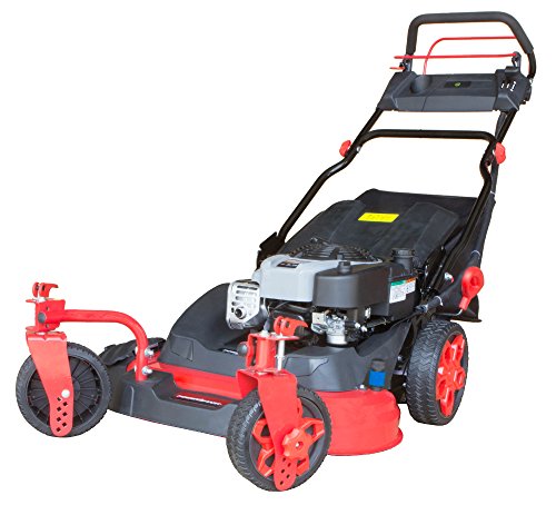 Buy PowerSmart DB8611-26BS 26 inch Briggs & Stratton Self Propelled ...