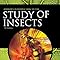 Amazon.com: Borror and DeLong's Introduction to the Study of Insects ...