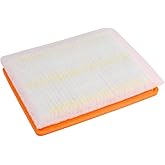 Amazon.com: ACDelco GM Original Equipment A3197C Air Filter : Automotive