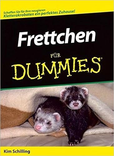 Frettchen Haltung | Frettchen kaufen