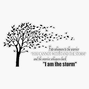 Amazon.com: I Am The Storm Sticker Vinyl Bumper Sticker 6 Mil Thick ...