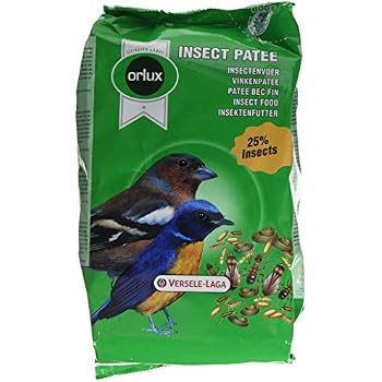 Amazon.com : Quiko Goldy Egg Food Supplement For Insect Eating Birds ...