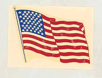 Amazon.com: 1960's US American Flag ORIGINAL Decal Emblem ...