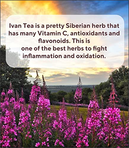 Ivan Tea - Reduce Inflammation and Oxidation - Immune Support - 100% ...