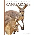Kangaroos (Amazing Animals): Riggs, Kate: 9781628329155: Amazon.com: Books