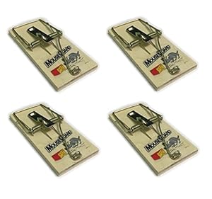 Amazon.com : 4 Mouse Traps Mouse Guard Twin Wound Spring Metal Bait ...