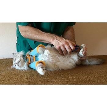 Pet Supplies : Cat Restraint, Cat Grooming Restraint, Cat Bathing ...
