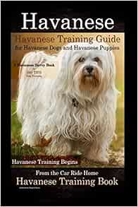 Havanese Havanese Training Guide for Havanese Dogs and Havanese Puppies ...