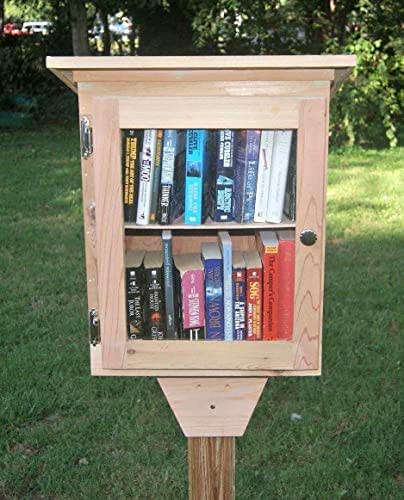 Amazon.com: Tiny Library, with shelf, handmade cedar. : Handmade Products