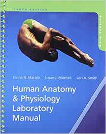 Amazon.com: Human Anatomy & Physiology Laboratory Manual, Main Version ...