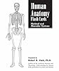 Human Anatomy FLASH CARDS: Skeletal and Muscular Systems in Dubai - UAE ...