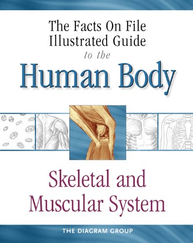 The Illustrated Guide To The Human Body: Skeletal And Muscular System ...