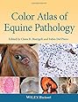 Color Atlas of Equine Pathology: 9780470962848: Medicine & Health ...