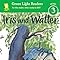 Amazon.com: Iris And Walter: 9780547745558: Guest, Elissa Haden ...